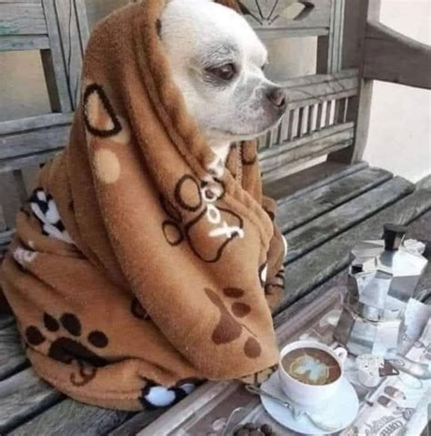 အနောက်မှနေထွက်သည် Part 40 သံဝေဂ မှတ်စု