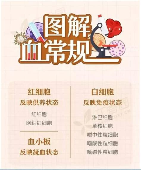 血常规报告单，一文读懂！（超全版） 知乎