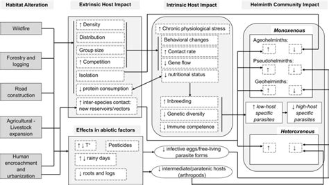 Hypothesized Causal Diagram Of The Impact Of Habitat Alteration On The