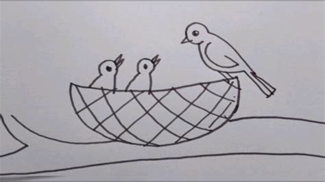 How To Draw Bird Nest Step By Step Infoupdate Org