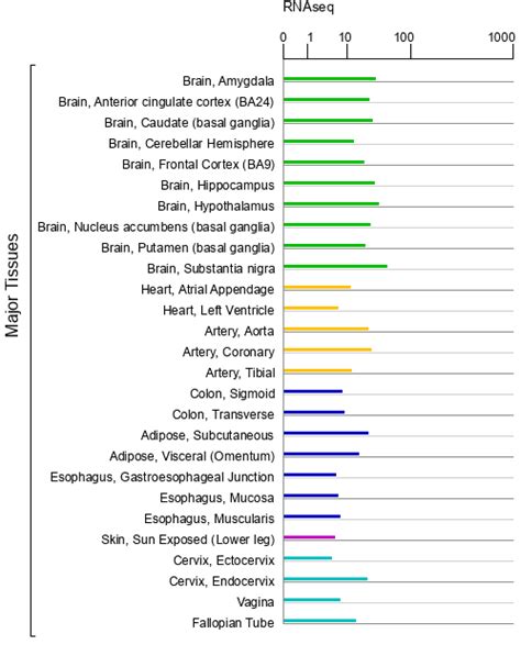 Trem2 Gene Genecards Trem2 Protein Trem2 Antibody