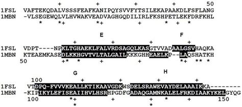 Amino Acid Sequence Alignment Of Soybean Leghemoglobin Pdb 1fsl And
