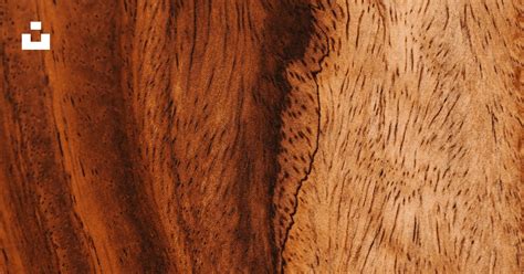 나뭇결 질감의 클로즈업 사진 Unsplash의 무료 나무 이미지