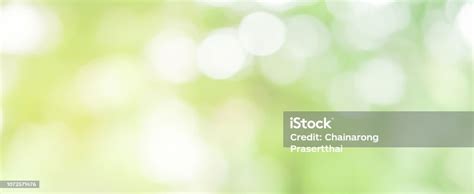 추상 흐리게 국가 공원 야외 배경 디자인 개념에 대 한가 시즌에 배경 주제에 대한 스톡 사진 및 기타 이미지 배경 주제 녹색 빗나간 포커스 Istock