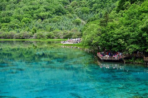 最新遥感监测成果四川九寨沟震后全域植被逐渐恢复