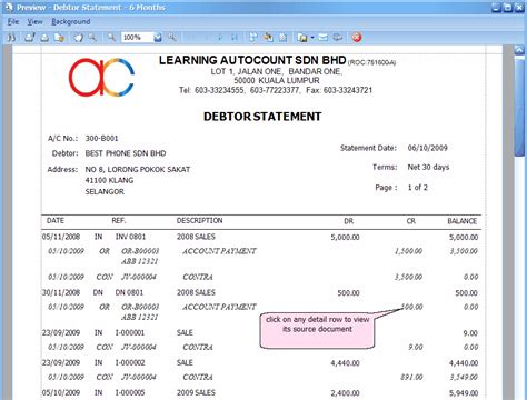 Debtor Statement Report