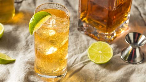 18 Best Ginger Ale Cocktails To Drink