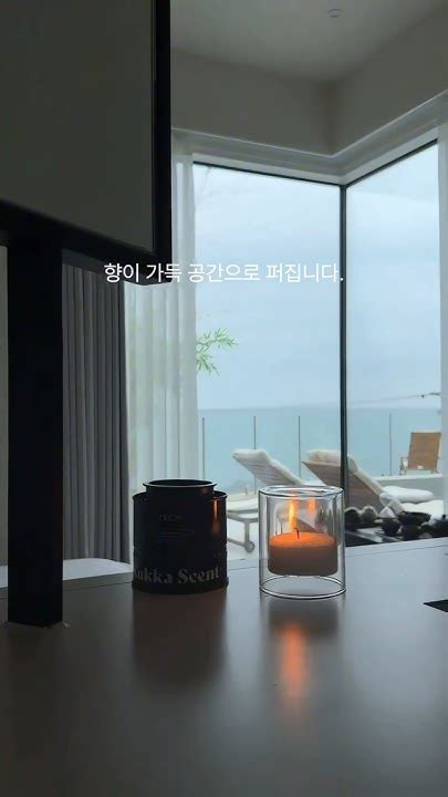 내가 사기엔 망설여지지만 선물 받으면 진짜 만족할 추천템 선물 선물추천 집들이선물 생일선물추천 디퓨저 Youtube