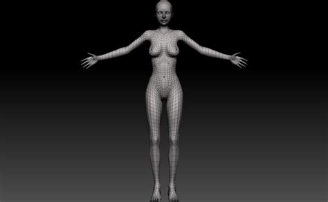 Kingblue Sketchbook Some Nudity ZBrushCentral