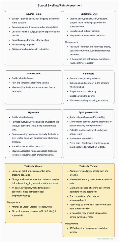 Scrotal Swellingpain Differentials Clinicaltrees Scrotal Swellingpain Differentials Clinicaltrees