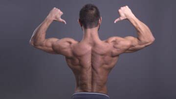 How To Do The Reverse Biceps Curl For Absolutely Massive Arms BarBend
