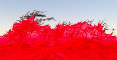 The Affinity Photo Selection Brush Lenscraft