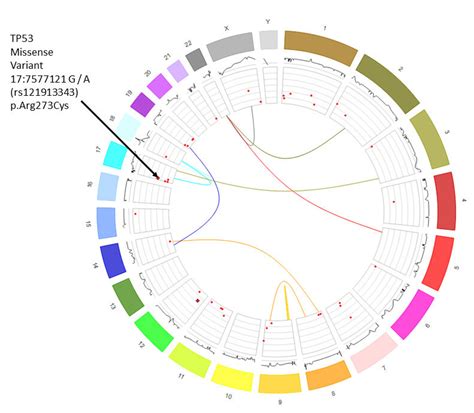 Bioinformatics Data Analysis Services Seqmatic