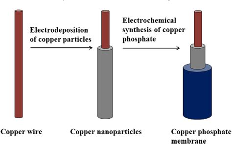 Figure 1 From Potentiometric Phosphate Ion Sensor Based On Electrochemically Modified All Solid