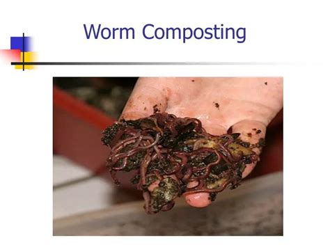 PPT Worm Composting PowerPoint Presentation Free Download ID 6527682