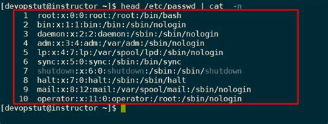 Head And Tail Command In Linux With Examples Devopstut