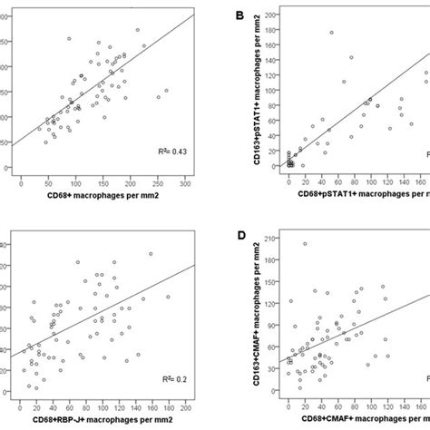 R2 Is The Constant Correlation Download Scientific Diagram