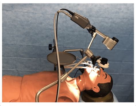 Tests On The Mannequin Download Scientific Diagram