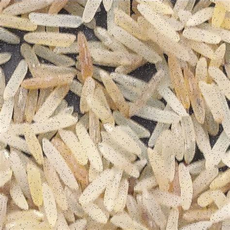 Rice Classification Dataset V2 2023 06 12 8 25pm By Rice Classification