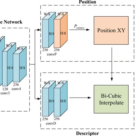 Multi Task Feature Extraction Network Structure Download Scientific