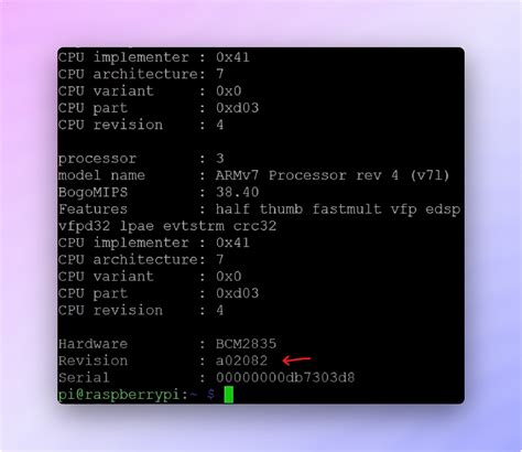 Identify Your Raspberry Pi Model Ram Size And Osdistro By Ryan
