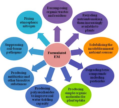 Icar Iisrs Microbial Formulation To Improve Agricultural Productivity Pwonlyias