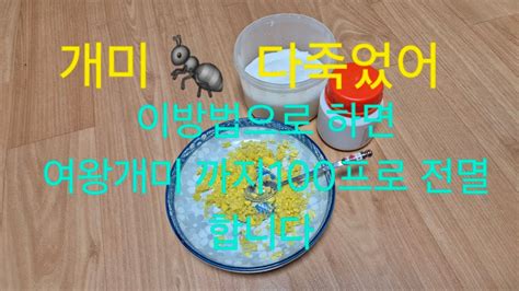 간단한 방법으로 여왕개미까지 전멸 Youtube
