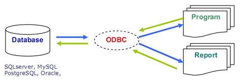 visual basic net sample project