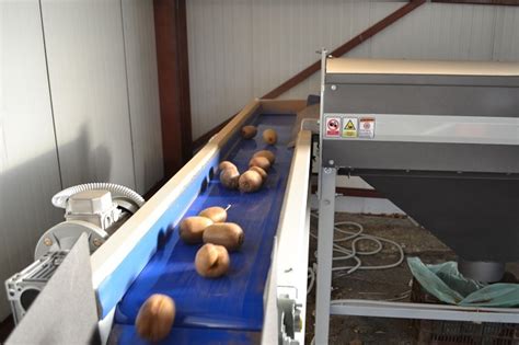grading line for kiwi processing sorting grading and packaging lines