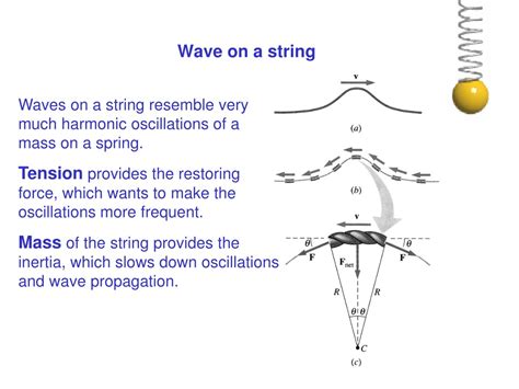 PPT Wave Speed In A String Factors And Calculations PowerPoint Presentation ID 9117129