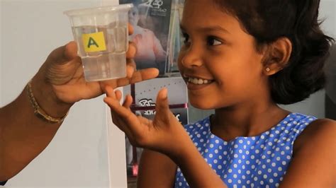 4 ශ්‍රේණිය පරිසරය ජලය 01 Youtube