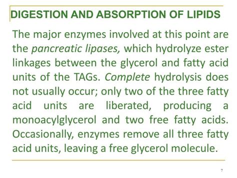 Lipid Metabolism Pdf Digestive Disorders Diseases And Conditions