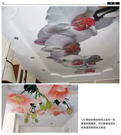 四川成都立体uv超清喷绘软膜天花产品图片四川成都立体uv超清喷绘软膜天花产品相册 成都熠越饰华商贸有限公司 九正建材网