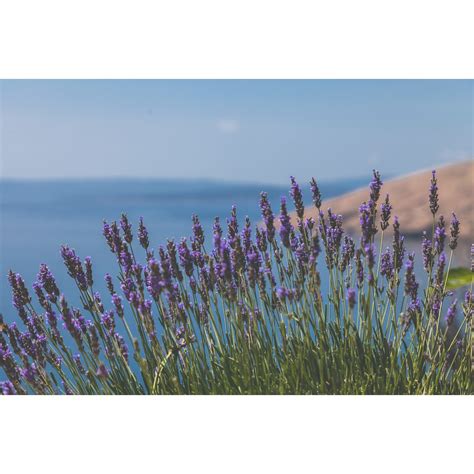 Дифузер за етерични масла Emag Bg