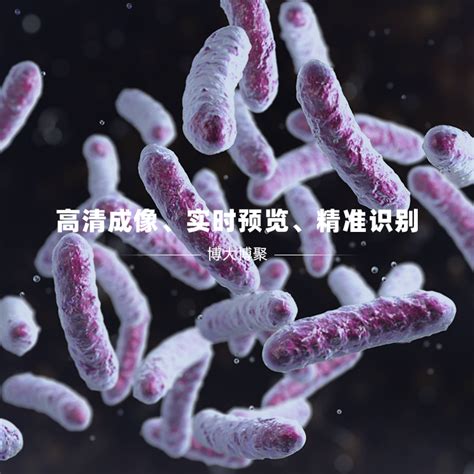 微生物计数仪 藻类细胞计数仪 实时活细胞成像仪 广州博大博聚科技有限公司