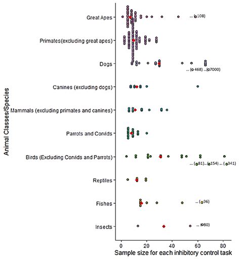 The Distribution Of The Sample Sizes From Each Inhibitory Control Download Scientific