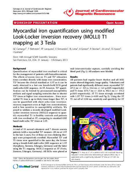 Pdf Myocardial Iron Quantification Using Modified Look Locker Inversion Recovery Molli T1