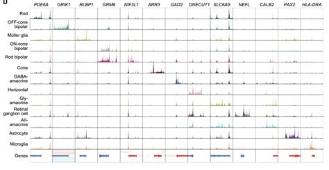 Coverage Plot For Multiome Data · Satijalab Seurat · Discussion 7068 · Github