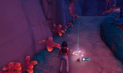 Palia How To Get Juniper Seeds