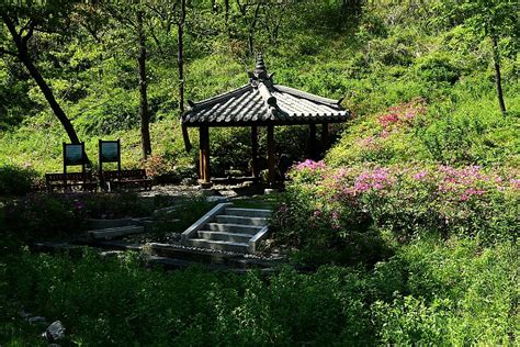 5월12일 토 대이작도 부아산 송이산 산행안내 토요 산행 신청방 안양산죽산악회 안양산죽회