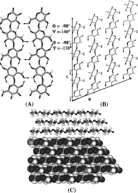 Description Of The Three Dimensional Structure Of Cellulose Ia From Download Scientific
