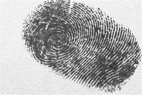 Premium Photo Macro Black Human Fingerprintblack Macro Fingerprint