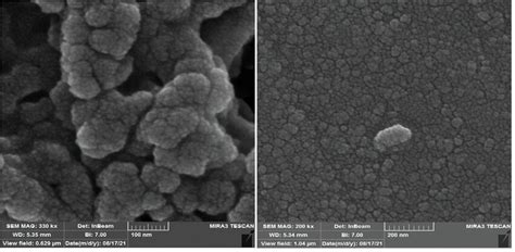 Electron Microscope Images Sem At Two Scales Of 100 And 200 Nm