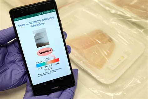 AI Powered Electronic Nose Sniffs Out Meat Freshness
