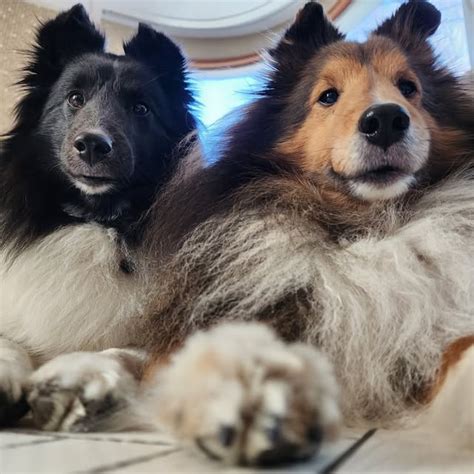 한정민 Bori A • Threads Say More