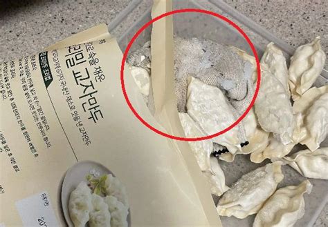 초록마을 냉동만두서 목장갑전량 회수·판매 중단