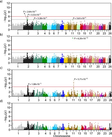 Results Of Performed Mixed Linear Analyses Presented As Manhattan Download Scientific Diagram