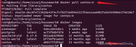 Docker下搭建apachephpmysqlcenot Docker Apache Php Mysql Csdn博客