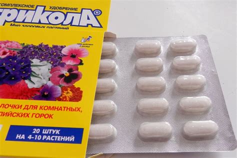 Лучшие Удобрения для Комнатных Цветов Рецепты Отзывы