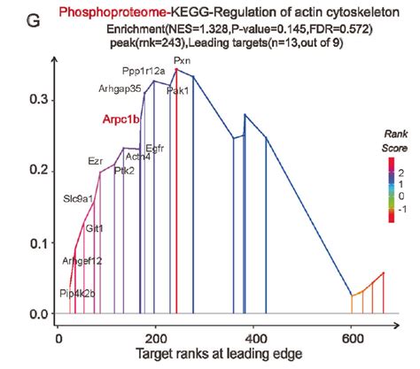 Omicshare Tools 基迪奥生信云工具